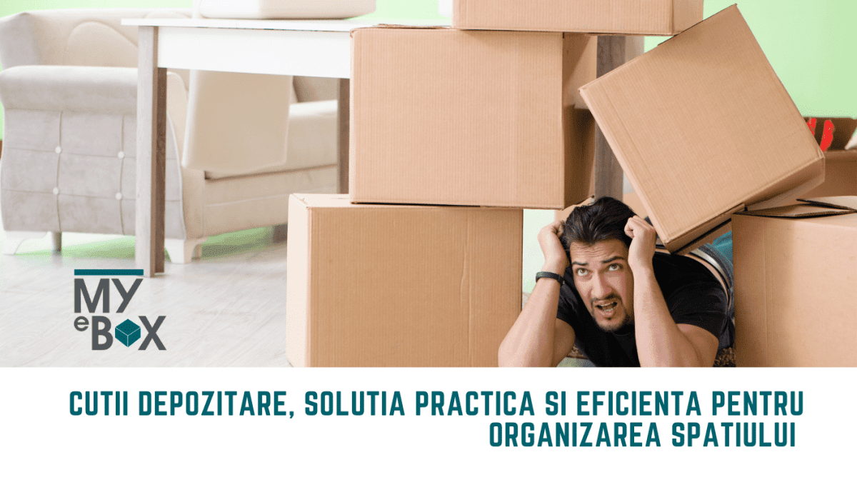 Cutii Depozitare Solutia Practica: 3 Modele De Top Pe Myebox