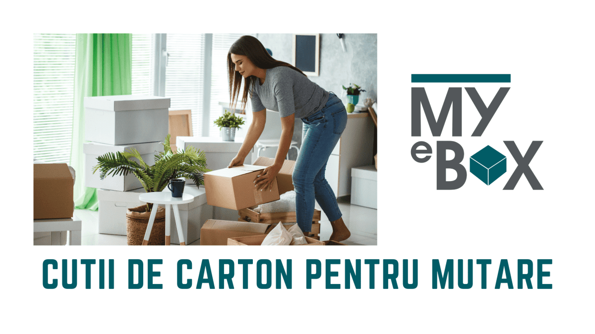 Cutii De Carton Pentru Mutare Care Te Uimesc T0P MyEbox.ro
